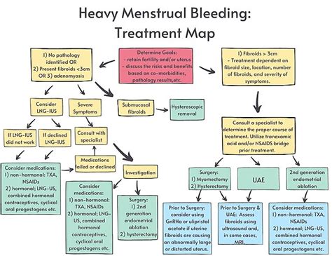 File Heavy Menstrual Bleeding Treatment Workflow  Wikimedia Commons