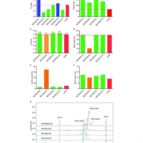 Affinity Assessment And Biophysical Characterization Of Anti Ige