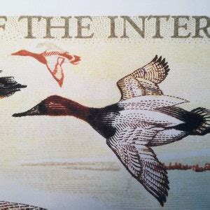 Duck Hunting Art 1975 Duck Stamp Poster Print 18x12 Etsy