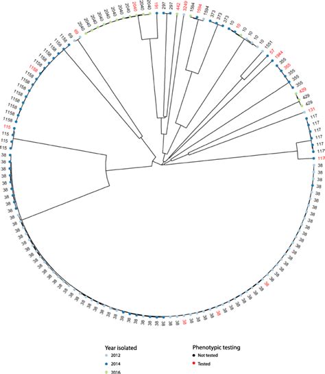 Clustering Of 141 Esc Resistant Escherichia Coli Isolated From