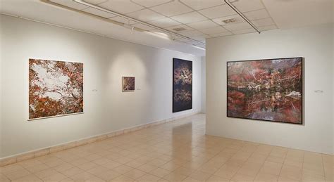 אורי גרשט בין סידורי הפרחים להעלמותו של ההומו ספיאנס מגזין פורטפוליו