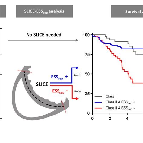 Half Of The Patients Fulfilled Criteria For A Class I Indication For