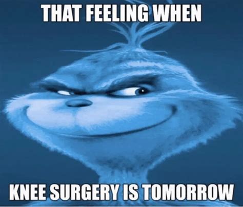 Whats Up My Guy Grinch Meme By Stfuant Meme Sound Effect Button For