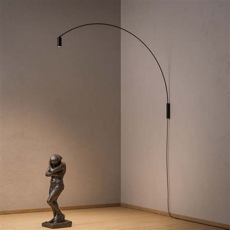 Nemo Fox Wall At Nostraforma