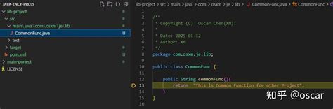 基于vs Code开发java 代码之调试依赖库的项目代码 知乎