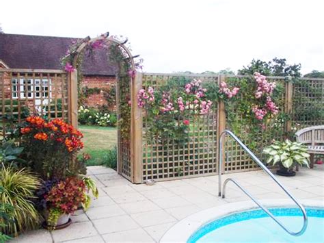 Pool Trellis Complete Backyard Transformation 💪🏼🤩 This