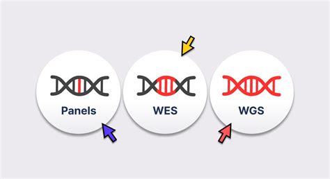 Panels Wes Or Wgs Which Is Best For Rare Disease Diagnosis