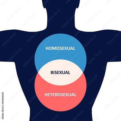 Human Torso And Infographics About Sexual Orientation Stock Vector Adobe Stock