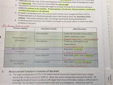 Chapter Part The Central Nervous System Flashcards Quizlet