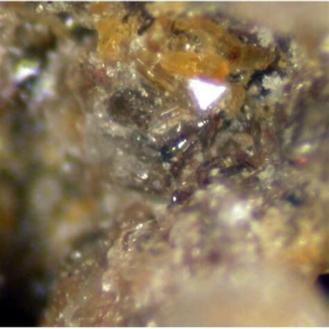 E Rocks Mineral Auctions