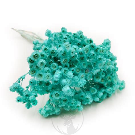 Mint Dried Immortelle Helichrysum Italicum 40g Natural Accent