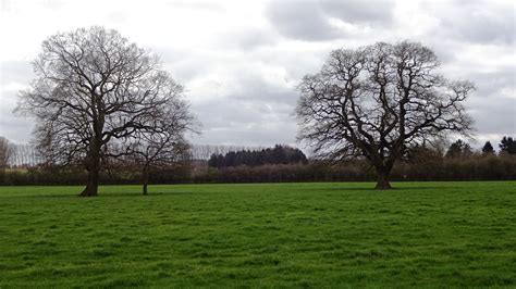 Didcot Trees Valley Park