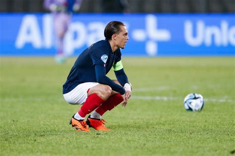 Viens Parler Du Fiasco Des Bleuets Et De Limmense Stève Le Phoque Sur