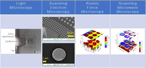 Multimodal Imaging Technology By Integrated Scanning Electron Force And Microwave Microscopy