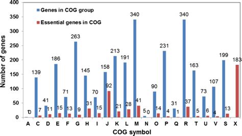 Cog Classification Of B Fragilis 638r Essential Genes Legend A Rna
