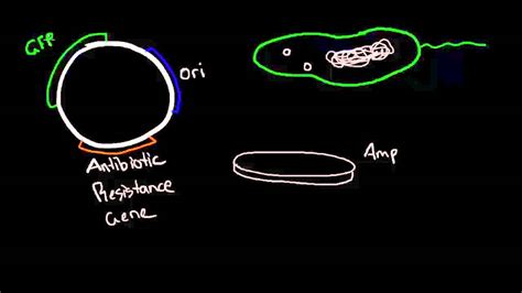 Episode 2 Plasmids Youtube