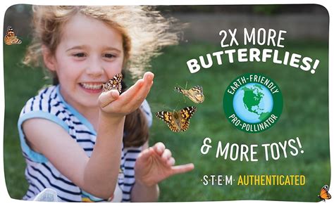 Insect Lore Butterfly Garden Kit With Live Caterpillars