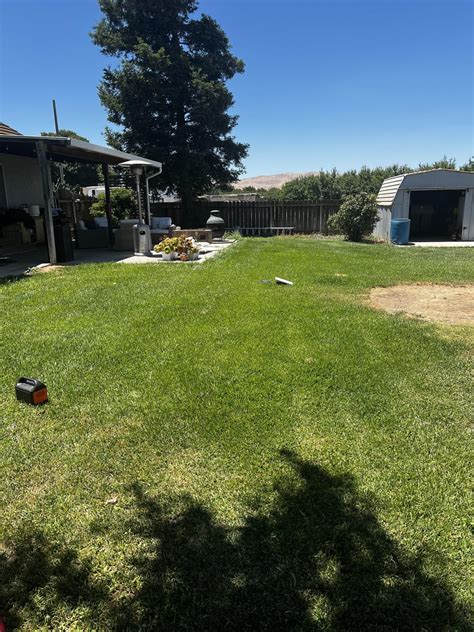 Starlink Mini Wifi Distance Rstarlink Starlink Mini Wifi Distance Rstarlink