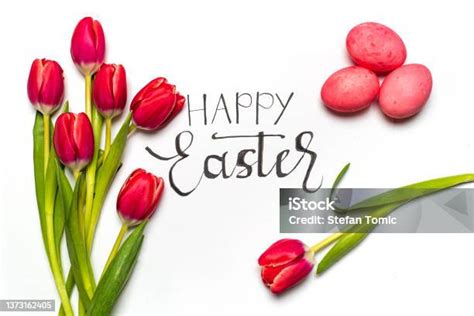 Kartu Happy Ester Dengan Rangkaian Bunga Tulip Merah Rata Berbaring Di