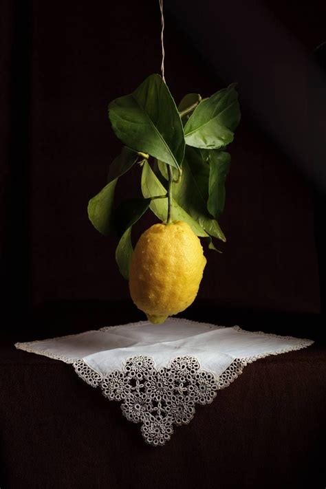 Still Life On Lemon Hanged Art Print Still Life Photography Still