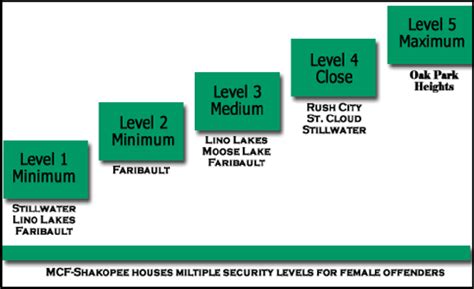 Five Level Custody Classification System Download Scientific Diagram