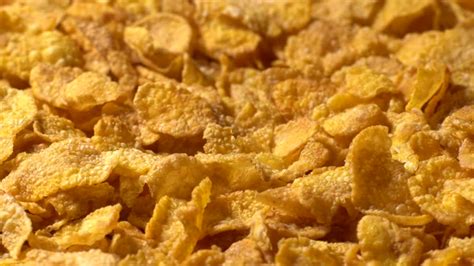 89 Corn Flakes Design Stock Videos Footage And 4k Video Clips Getty