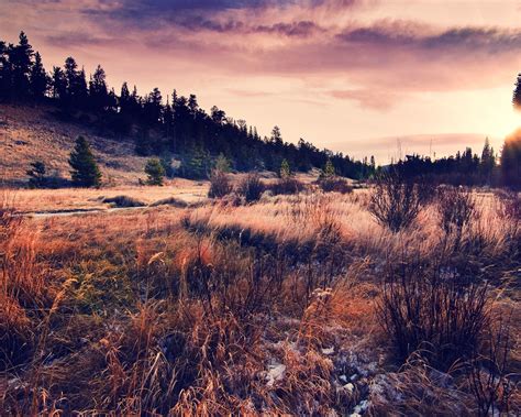 Wallpaper Hills Grass Sky Clouds Sunset Autumn 2560x1600 Hd