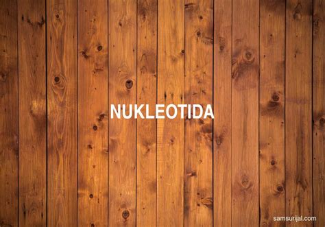 Arti Kata Nukleotida Kamus Besar Bahasa Indonesia Kbbi