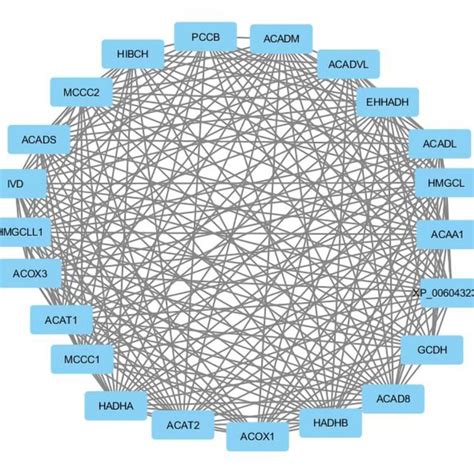 The Cluster Of Proteins Highly Connected In Protein Protein Download Scientific Diagram