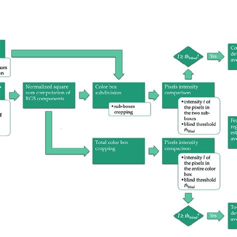 Flow Chart Of The Image Analysis Based Method For Amvs Parameter