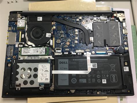 Derrick Lin On Circuit 2019