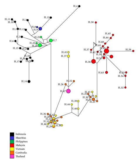 The Minimum Spanning Network Msn Generated By Network 4612 57