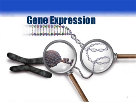 Gene Expression And Regulationpptx