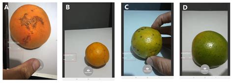 Using Mobile Edge Ai To Detect And Map Diseases In Citrus Orchards