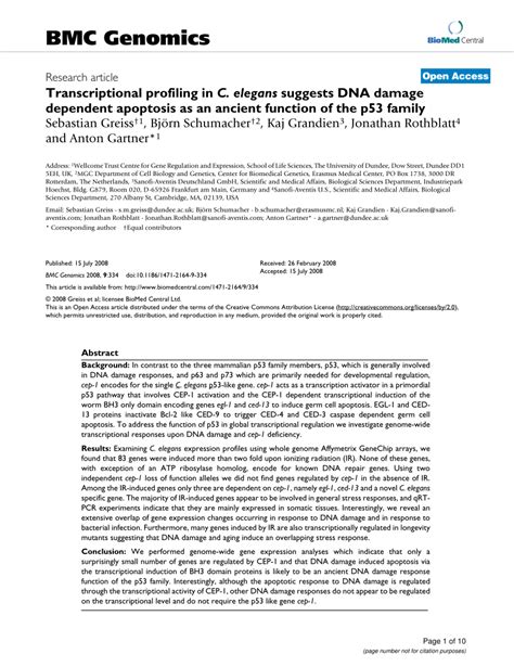 Pdf Transcriptional Profiling In C Elegans Suggests Dna Damage