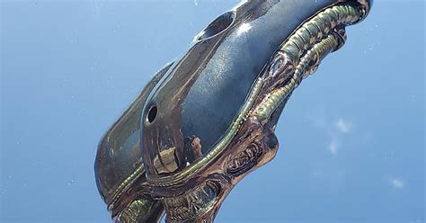 Xenomorph Pipe Album On Imgur