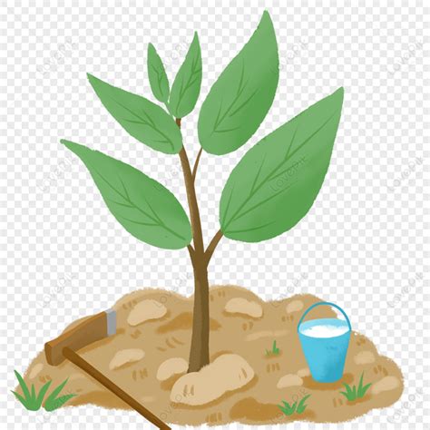 Sapling Tree Tree Seedlings Tree Sapling Png Image And Clipart Image For Free Download