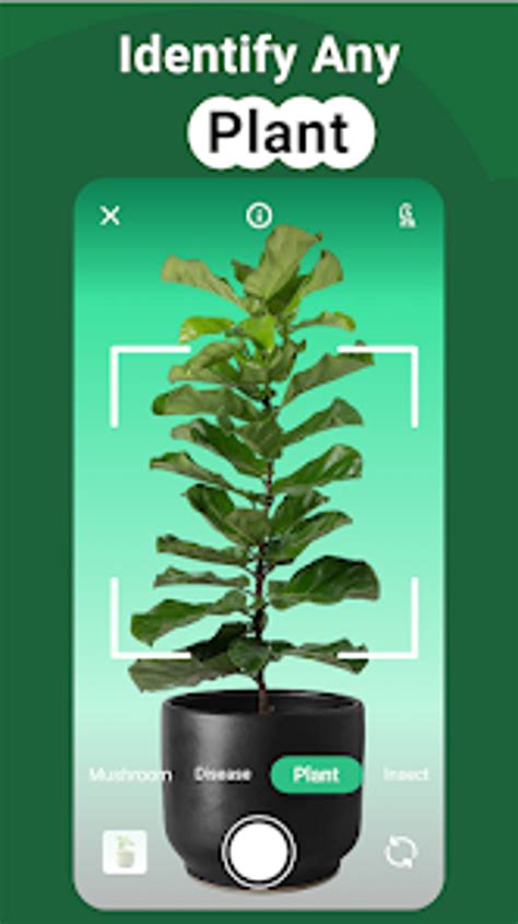 Plant Identifier App For Android Download