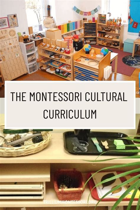 The Montessori Cultural Curriculum Montessori Homeschool Montessori