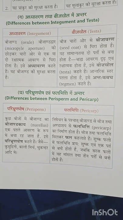 Difference Between Integument Testa And Perispermand Pericarp Biology