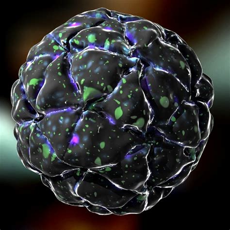 Black Beetle Virus 3d Model