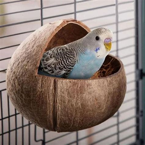 Coconut Shell Feeder Coconut Shell Bird Feeder Single Hole Trader Wholesaler Distributor