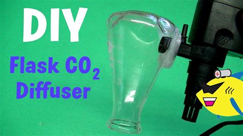 Diy Aquarium Light Diffuser At Dyan Roland Blog
