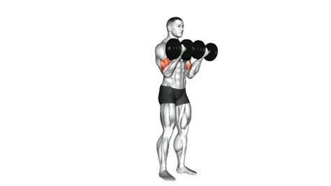 Dumbbell Biceps Curl Ultimate Guide And Tips Video Demo