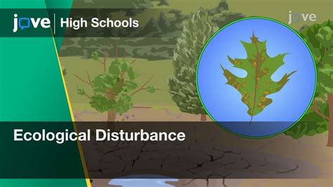 Ecological Disturbance Bio Video Textbooks Preview Youtube