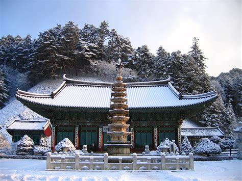 Traveling To South Korea Heres Why You Should Check Out Gangwon Do Metro Style