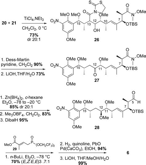 Design And Synthesis Of Ansamycin Antibiotics