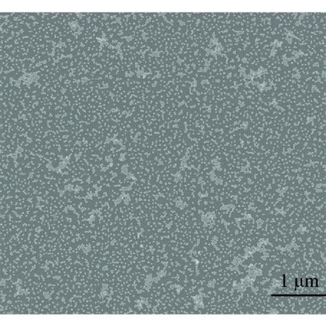 Aunps On The Flat Si Surface As Aunps Are Much Small Than The Hill Download Scientific Diagram