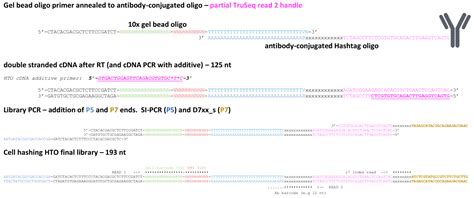 单细胞分析实录2 使用cell Ranger得到表达矩阵用cellranger生成的fastq文件继续分析 Csdn博客