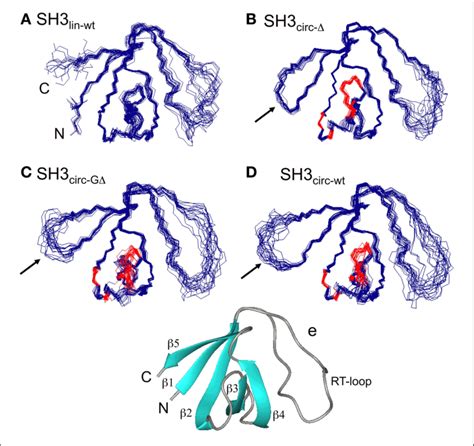 The Ensembles Of 20 Lowest Target Function Structures Backbone For